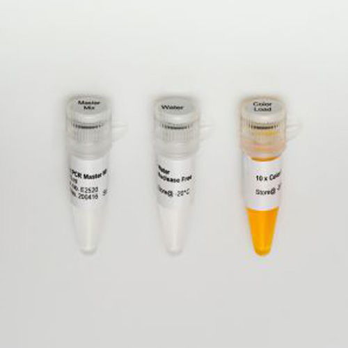Reagensi za molekularnu biologiju proizvođača EURx