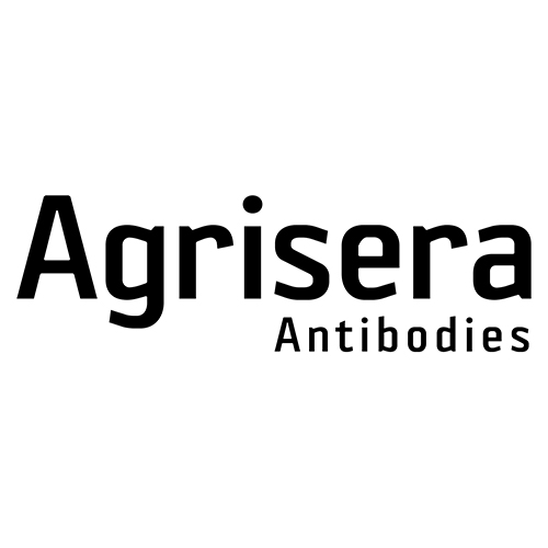 Agrisera - Monoklonska i poliklonska antitela