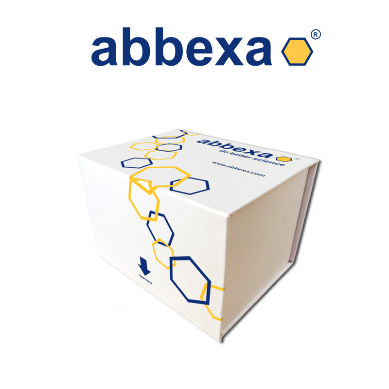 Abbexa
