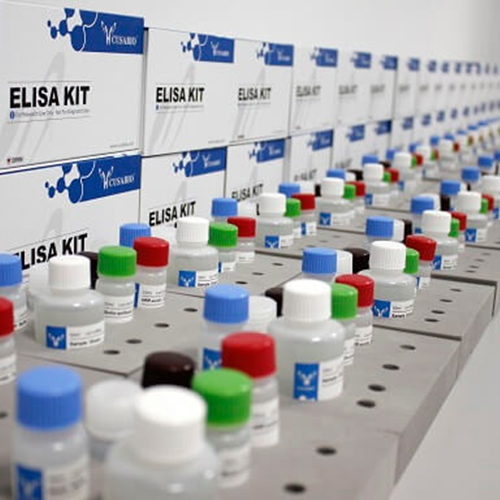 Cusabio - Antitela, ELISA kitovi i rekombinantni proteini